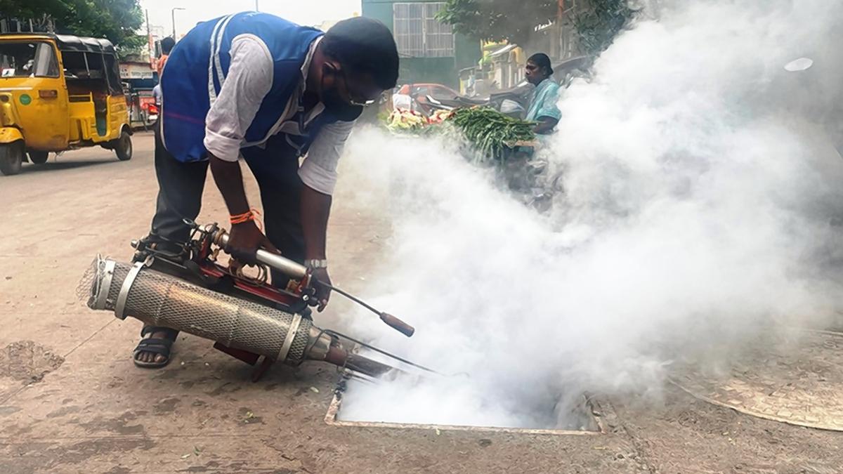 Public health directorate steps up vector control and surveillance ...