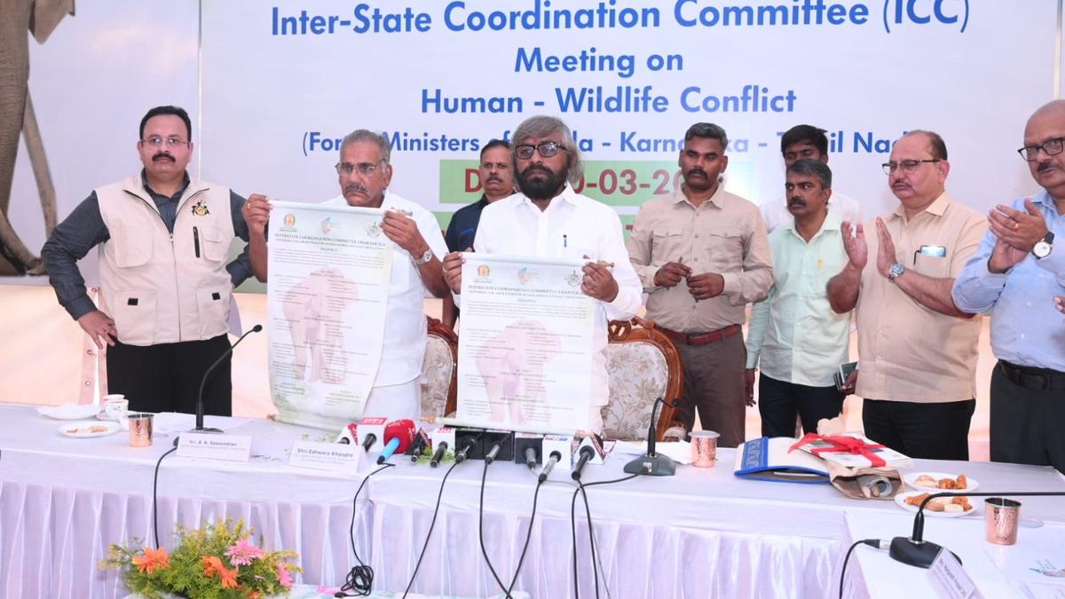 Human-wildlife conflict: Three southern States resolve to share ...