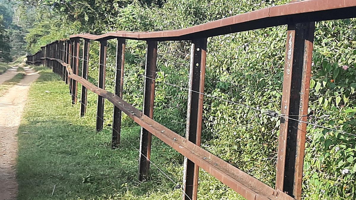 Bandipur National Park to get elephant task force - The Hindu