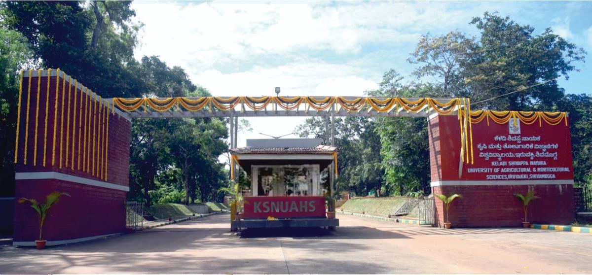 Woman denied govt job by mistake in score calculation during evaluation ...