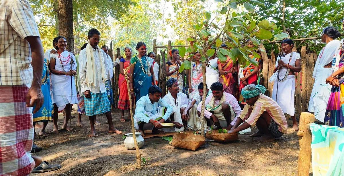 In a first, food festival showcases authentic Gutti Koya delicacies ...