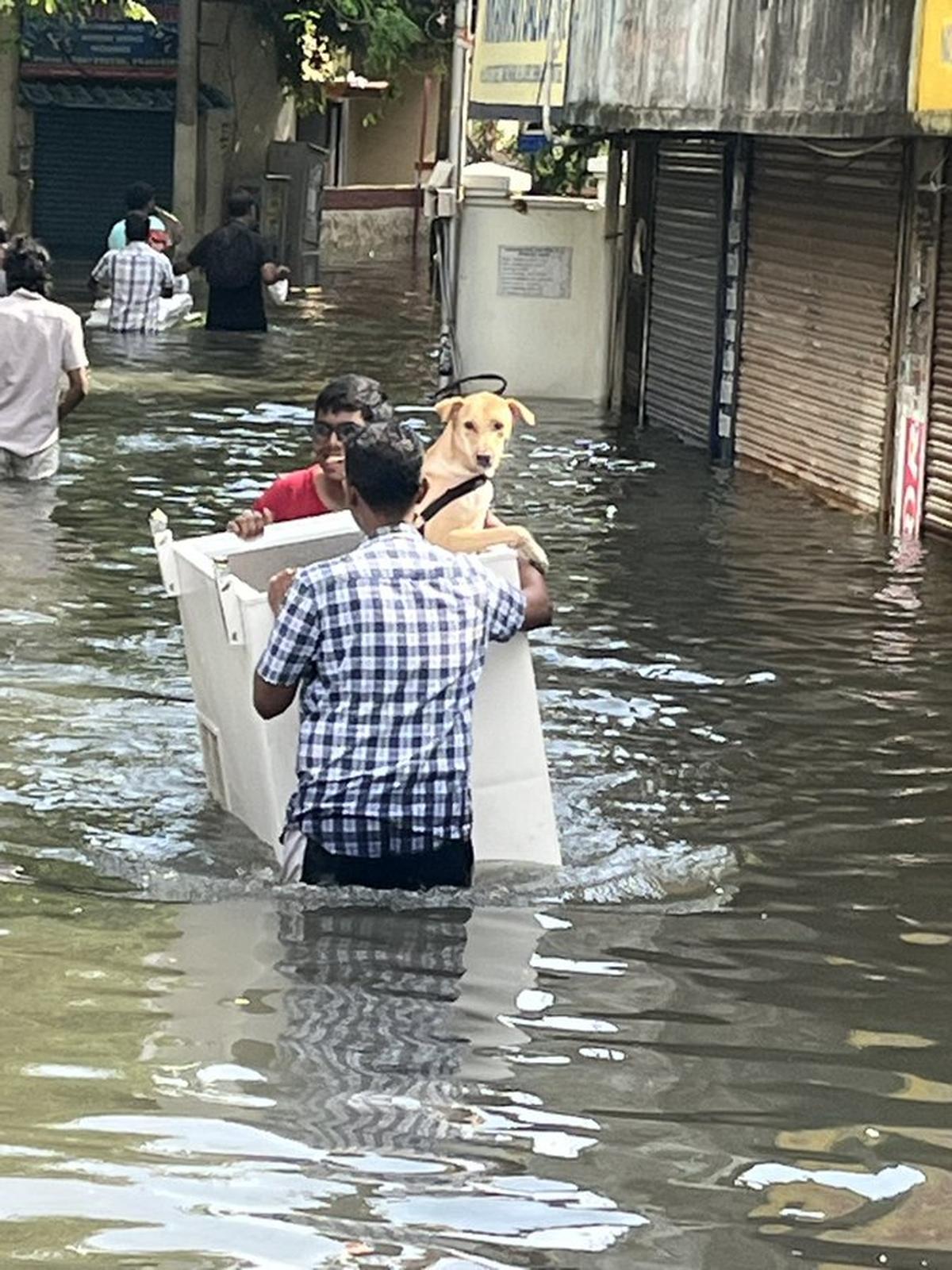 Cyclone Michaung In Pictures | Eye of the storm close to Bapatla in A.P.; Rains stop in Chennai ...