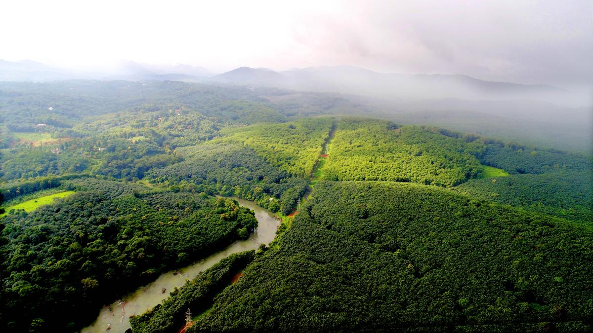 Sabarimala greenfield airport proposal receives Central approval - The ...