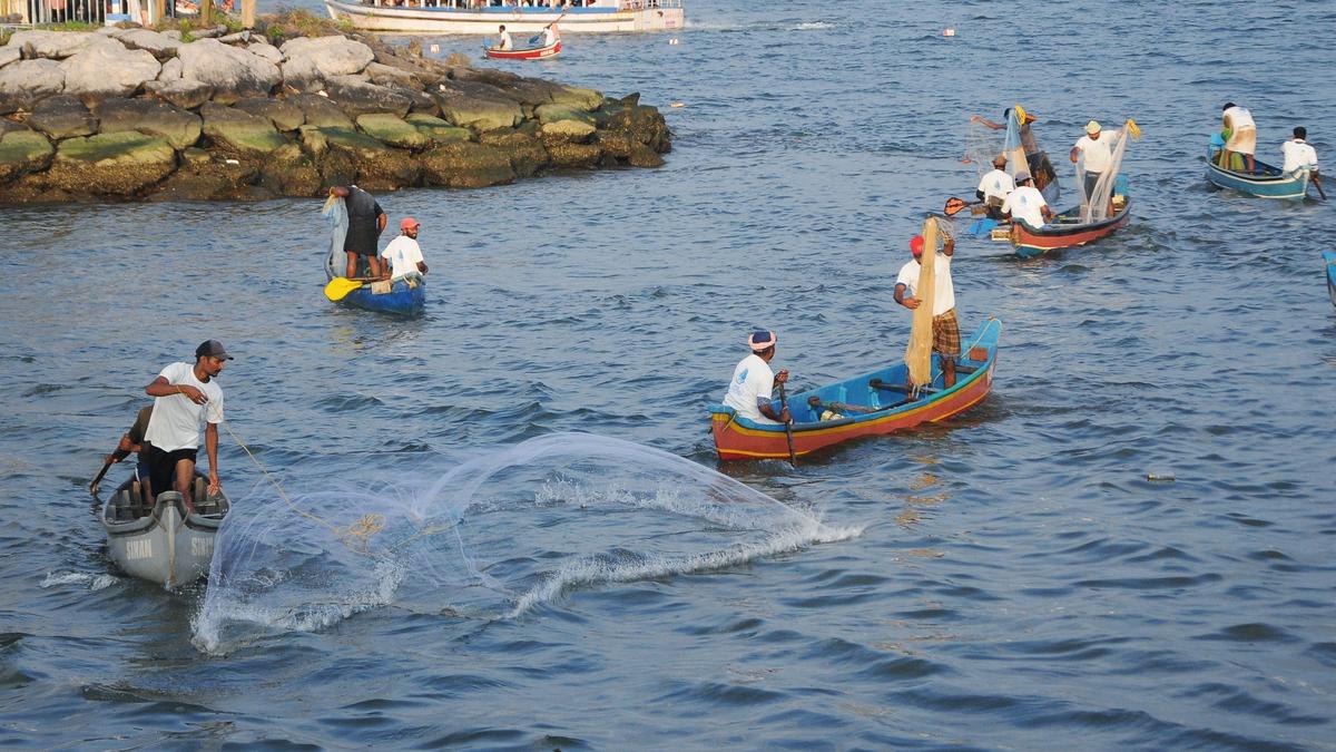 Beypore water festival turns out to be a crowd puller - The Hindu