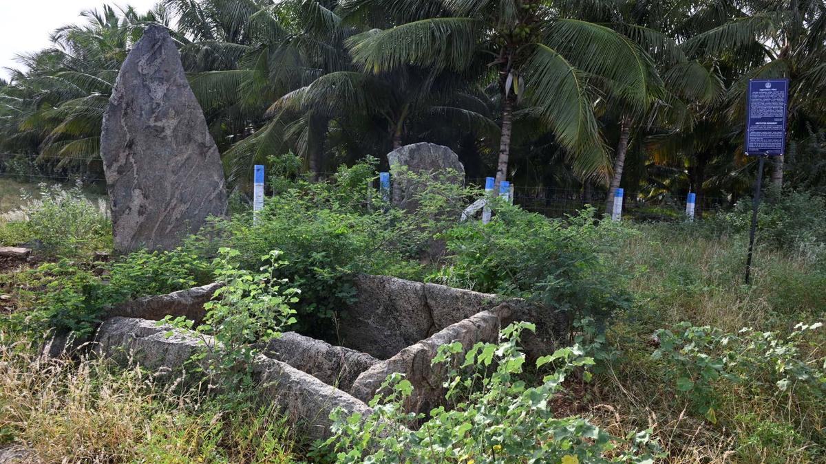Three places identified in Erode for establishing museum to display ...