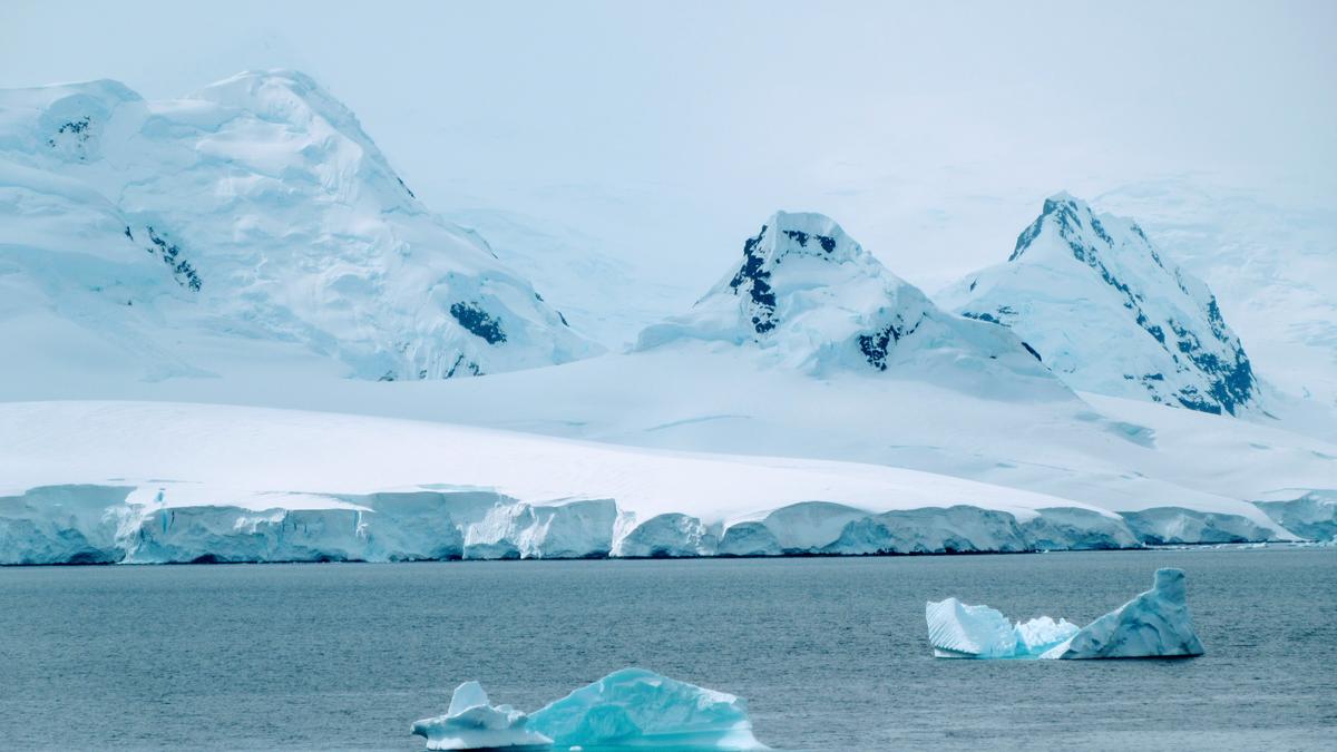 Sediments from Antarctica reveals million-year-old DNA - The Hindu