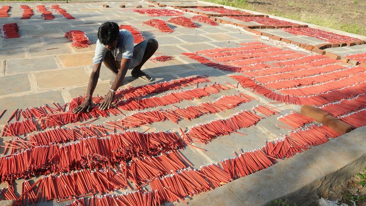 GI tag sought for Sivakasi fireworks - The Hindu