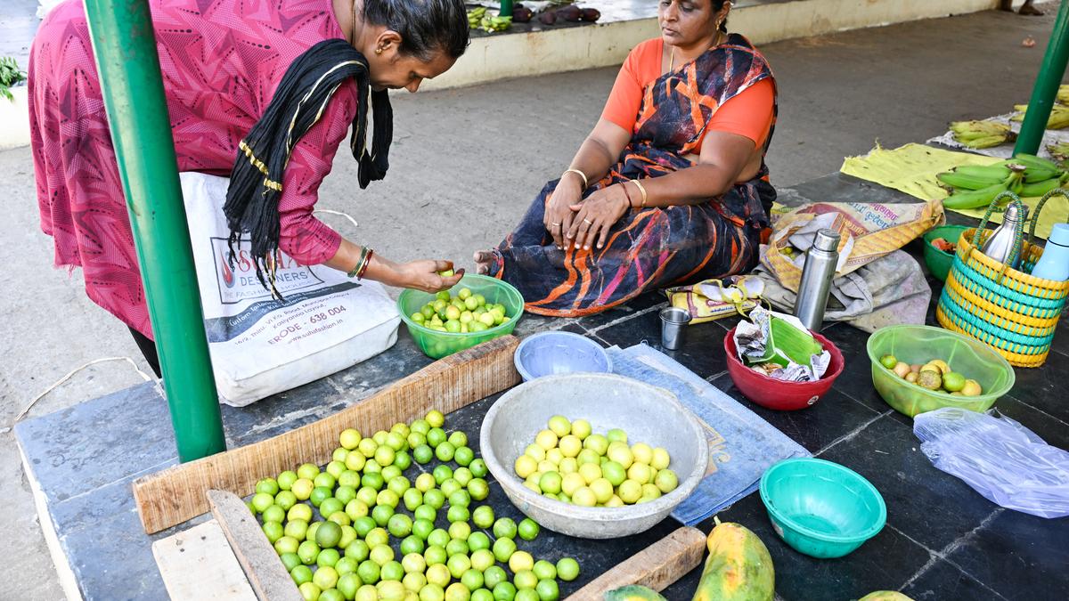 Scorching sun pushes up prices of lemon in Erode - The Hindu