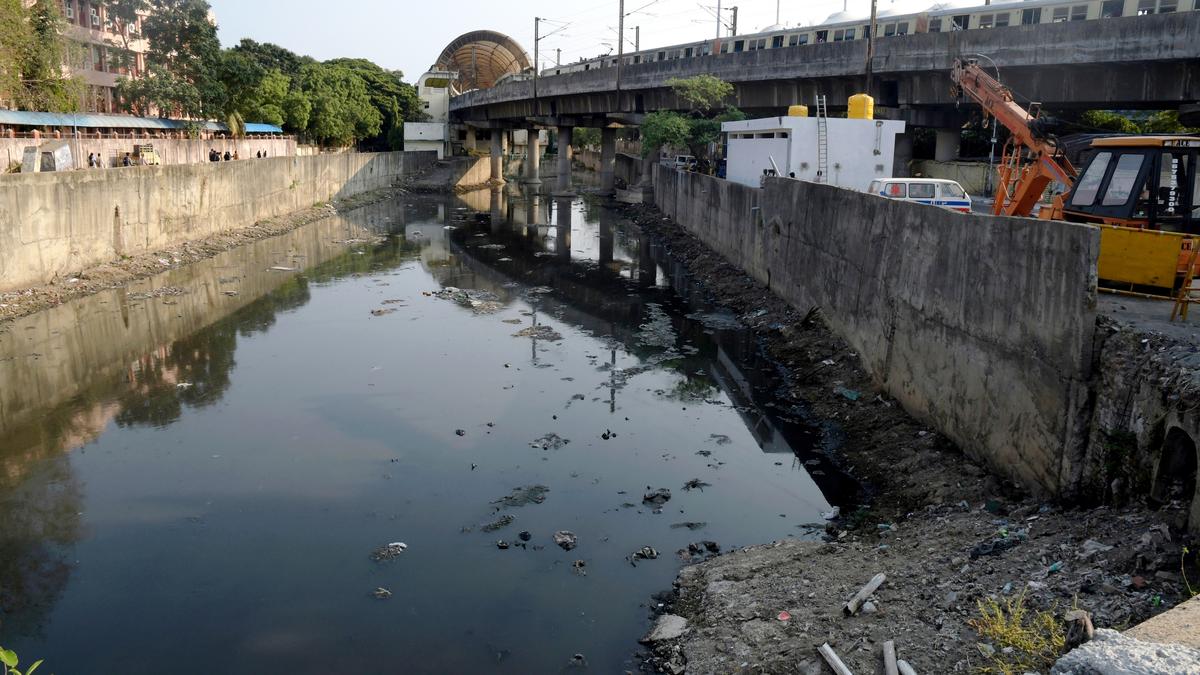Resettlement woes of people of the Buckingham Canal - The Hindu