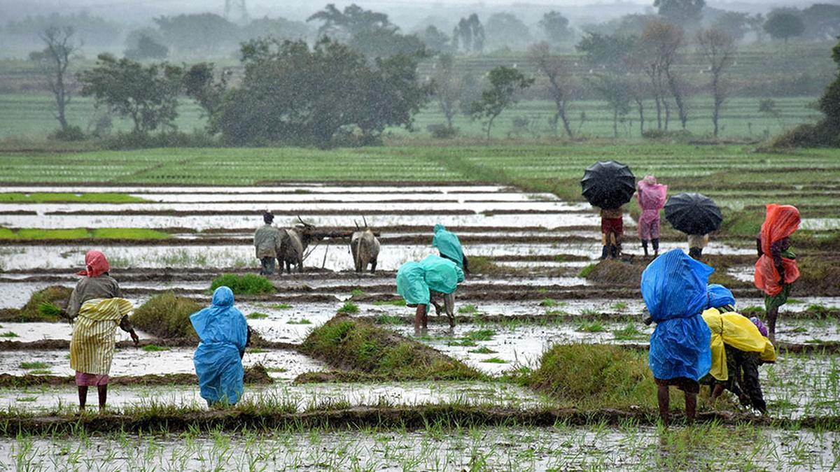Mysuru region experiences excess post-monsoon rainfall - The Hindu
