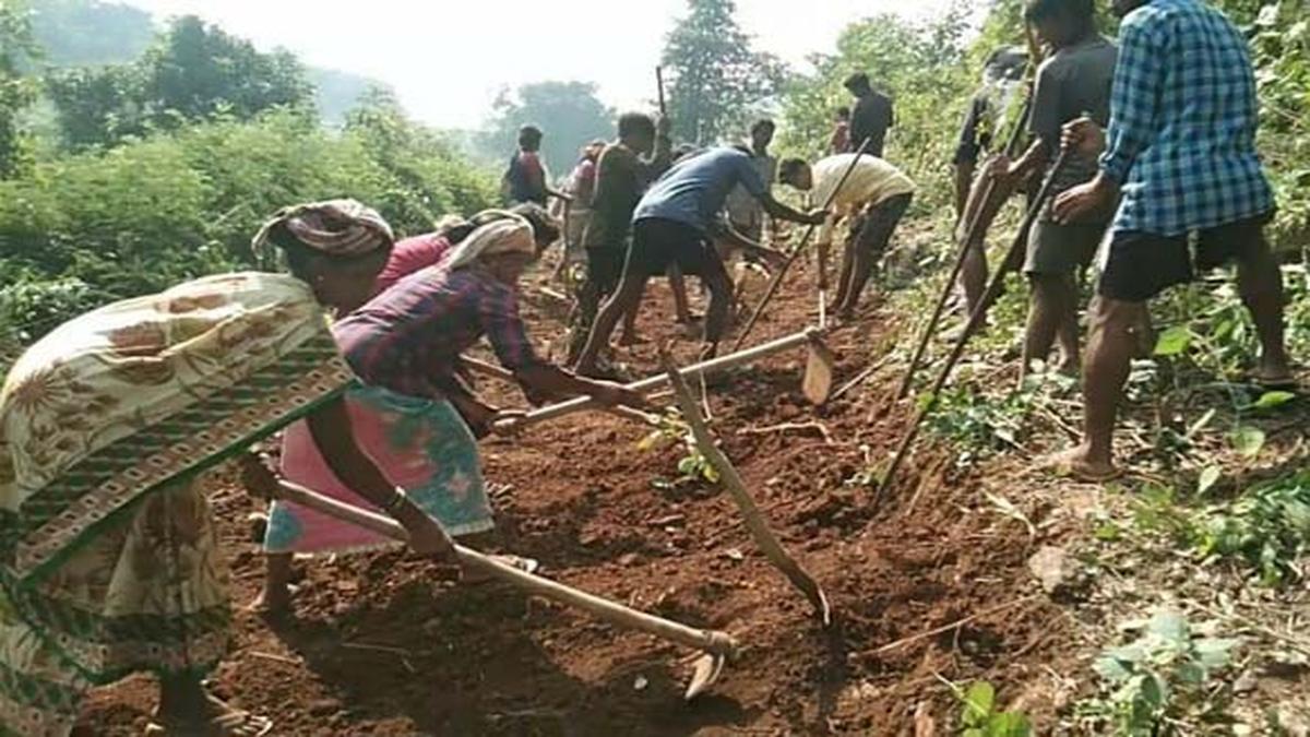 Andhra Pradesh: tribal people start laying road to their villages as ...