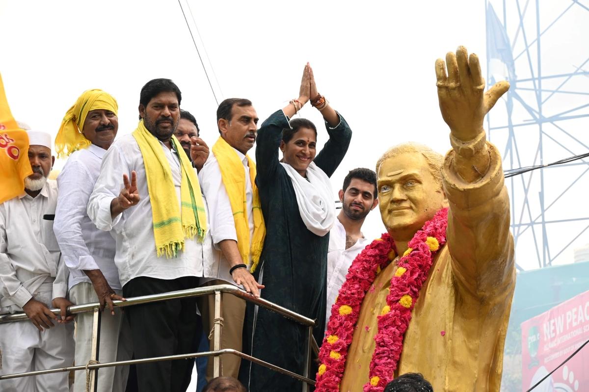 TDP begins victory celebrations across Rayalaseema - The Hindu