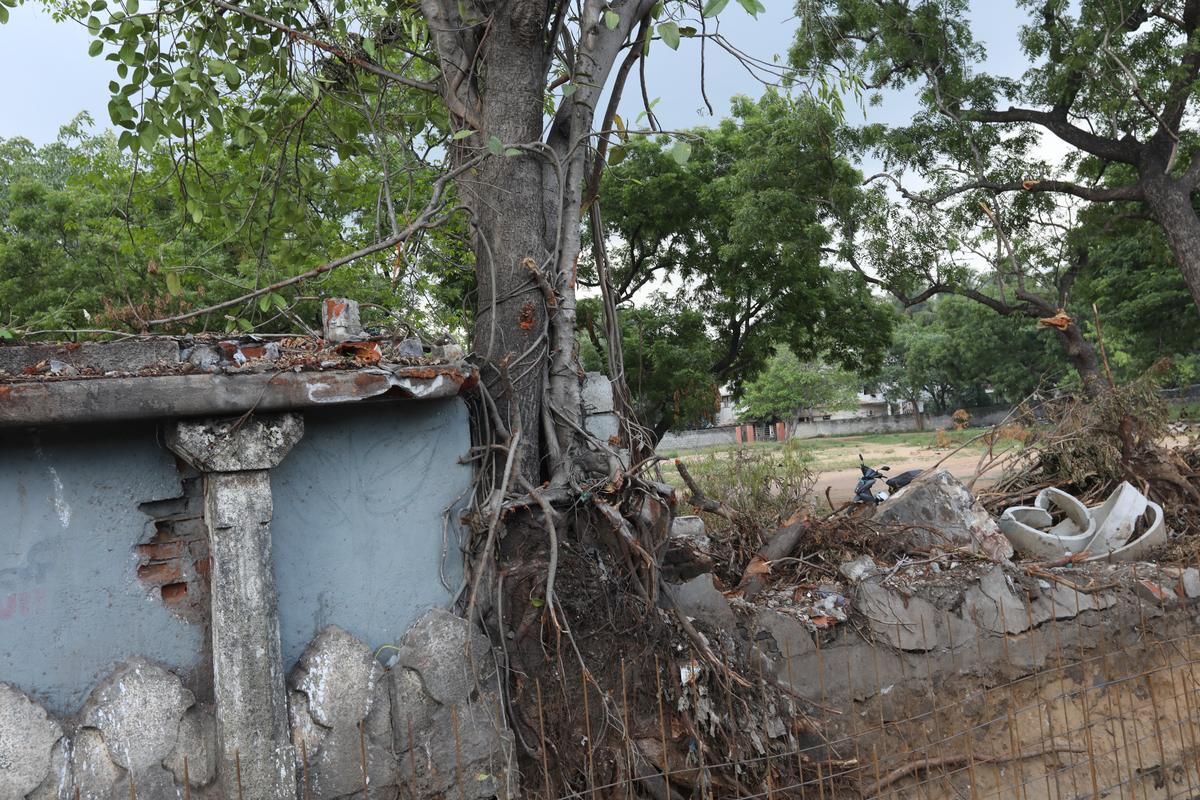SWD work brings inosculation to light on East Coast Road - The Hindu