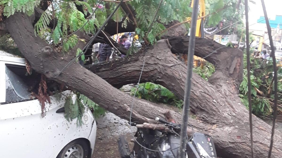 Tree falls down on car at K. Pudur - The Hindu