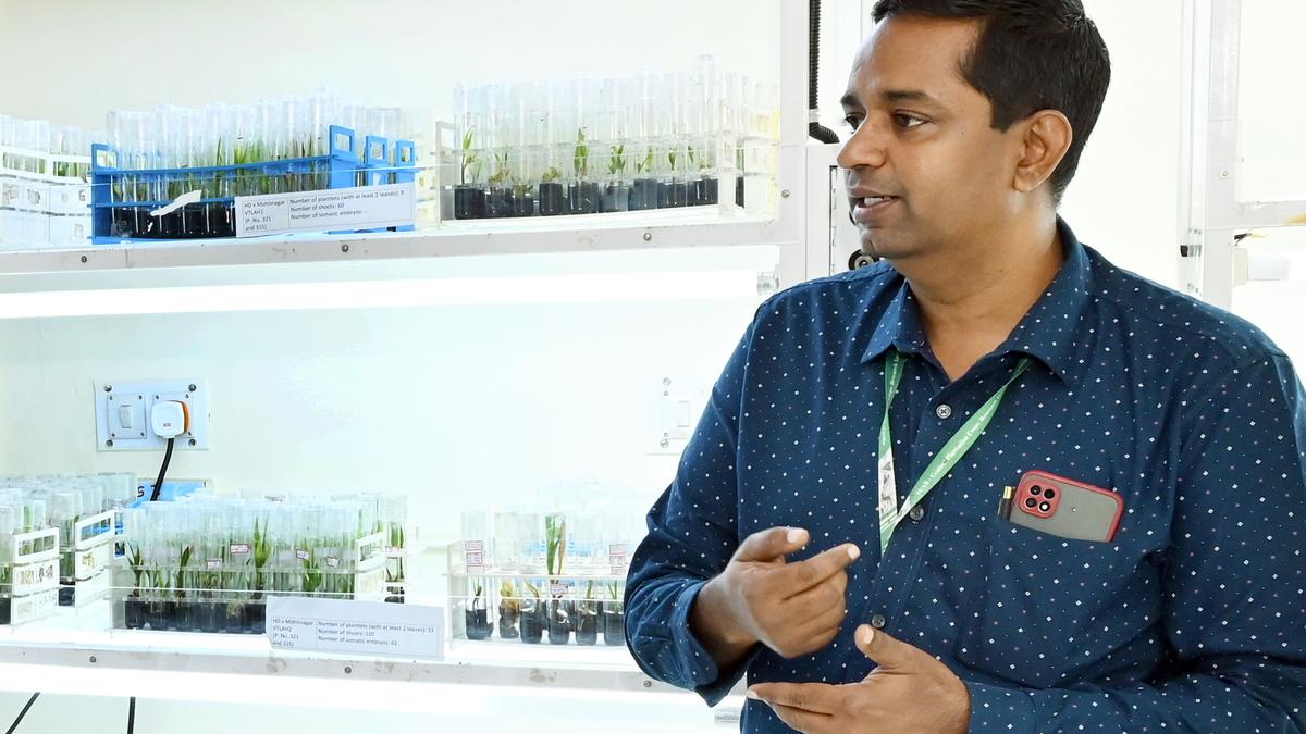 M.K. Rajesh takes charge as chief of CPCRI Vitla regional station - The ...