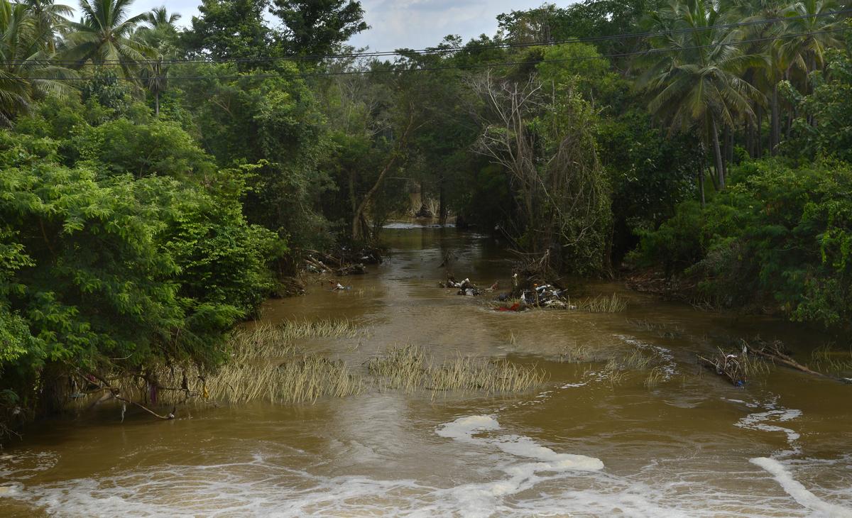 In Frames | Rise of the rivers - The Hindu