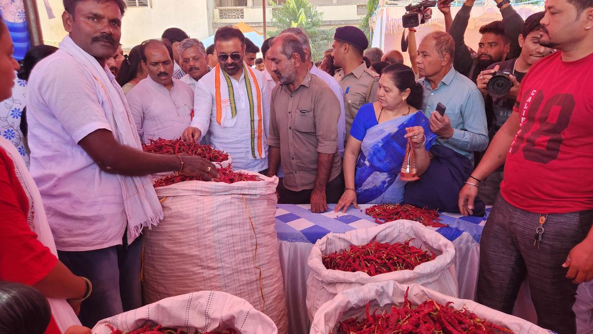 Dry chilli mela begins in Hubballi - The Hindu