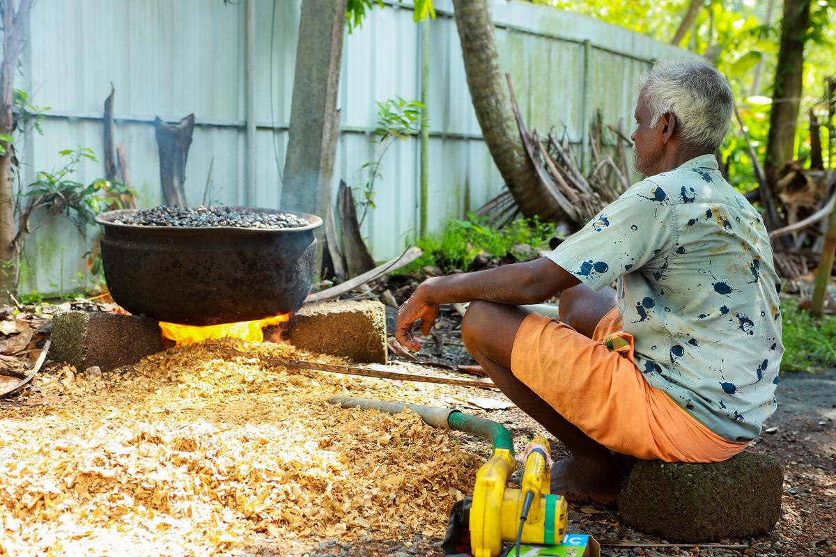 Lime shell sector faces headwinds - The Hindu