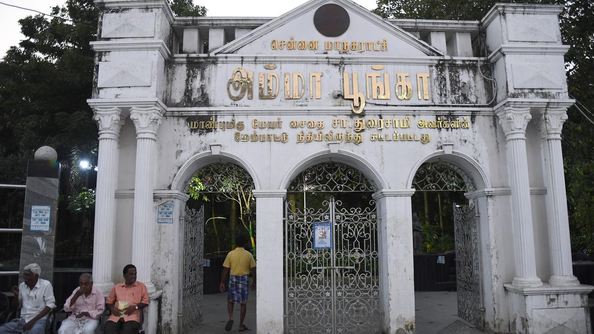 Amma Park on Kodambakkam Road at Saidapet is a huge draw - The Hindu