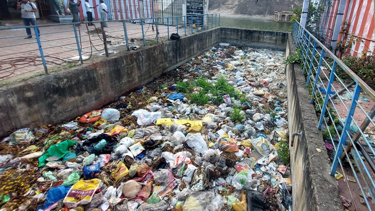 Differently abled man dies after inhaling poisonous gas in pond - The Hindu