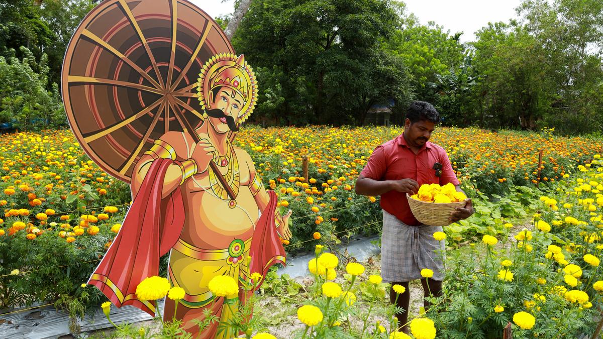 Cherthala banks on locally grown flowers - The Hindu