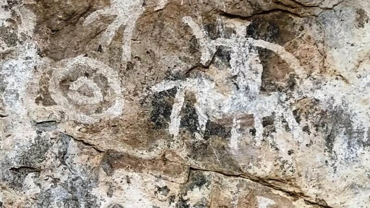Ancient rock paintings identified at forest area in Bargur - The Hindu