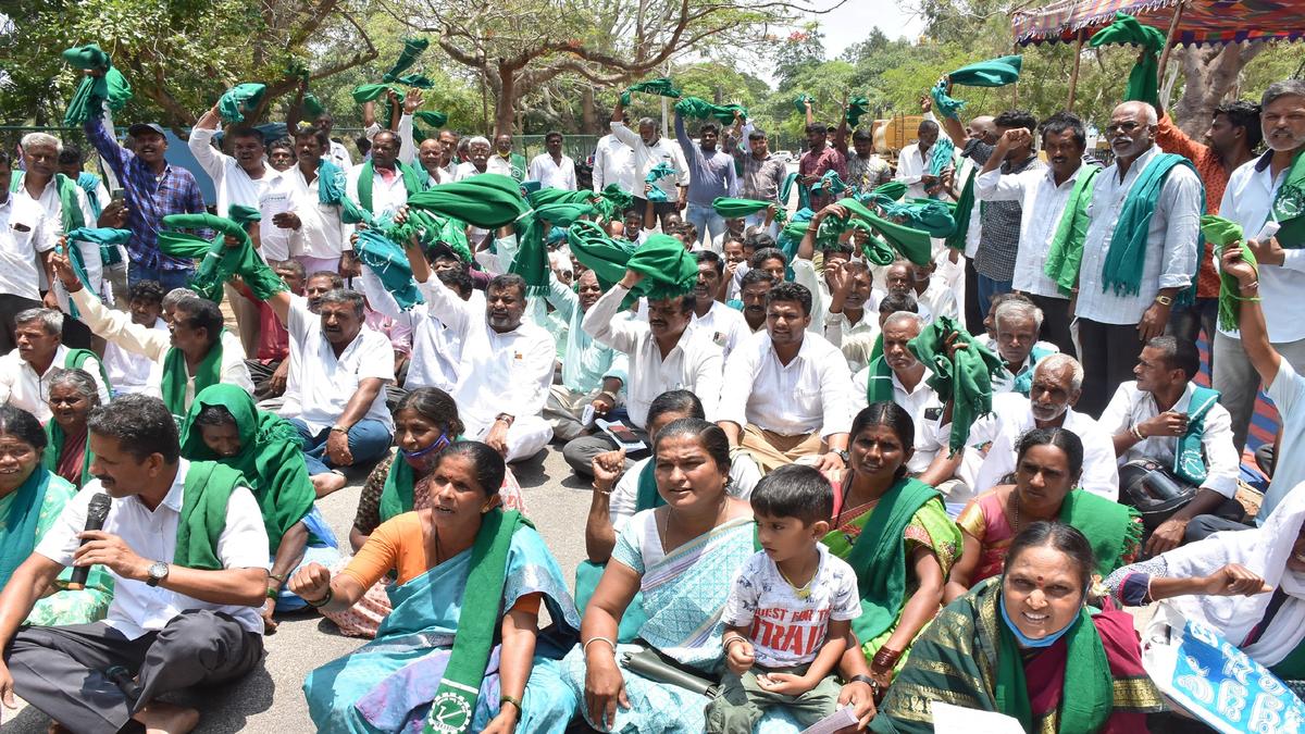 Farmers seek actual MSP for paddy, maize and ragi - The Hindu