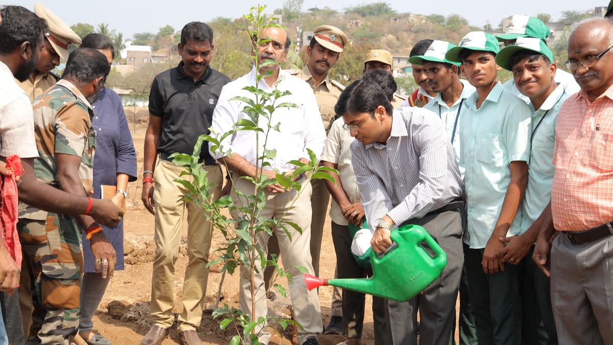Mass afforestation work kickstarts in degraded forest land near ...