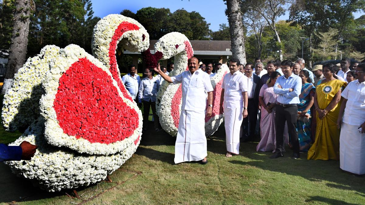 Develop fine paddy varieties suiting T.N. conditions, Agriculture ...