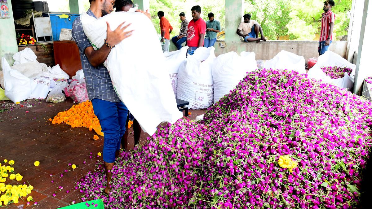 Ahead of Onam festival, prices of flowers go up in Dindigul, Madurai ...