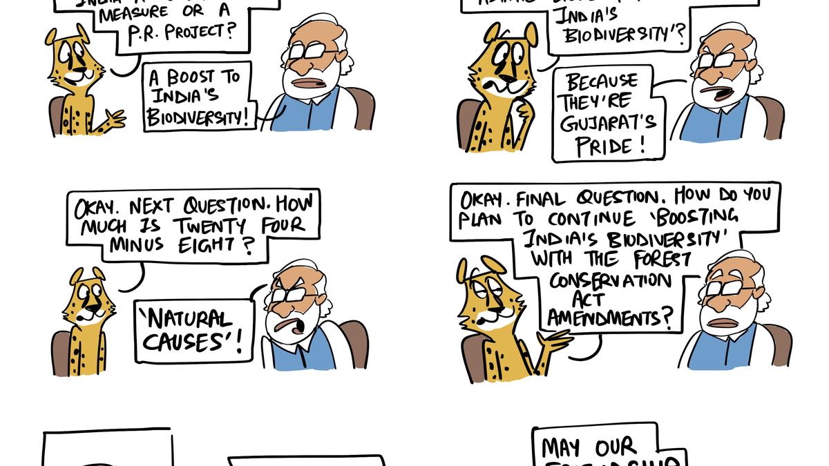 Green Humour by Rohan Chakravarty on deaths of reintroduced cheetahs in ...