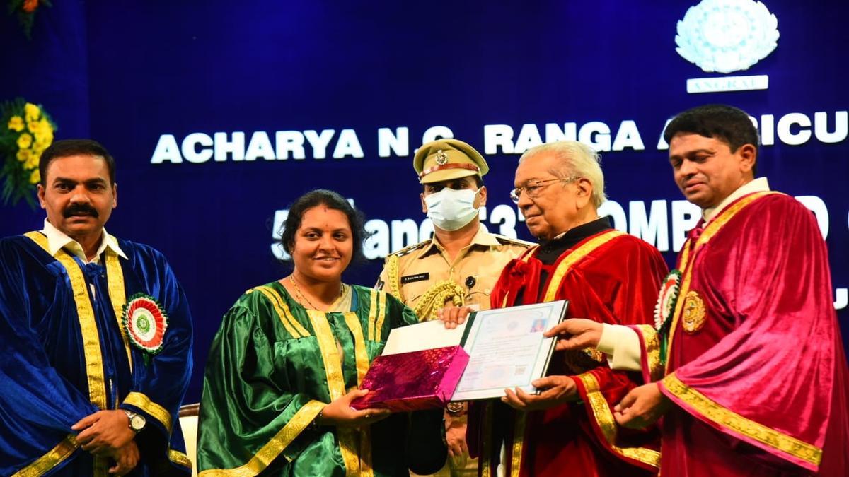 ‘One third of rice varieties eaten in India produced by ANGRAU’ - The Hindu