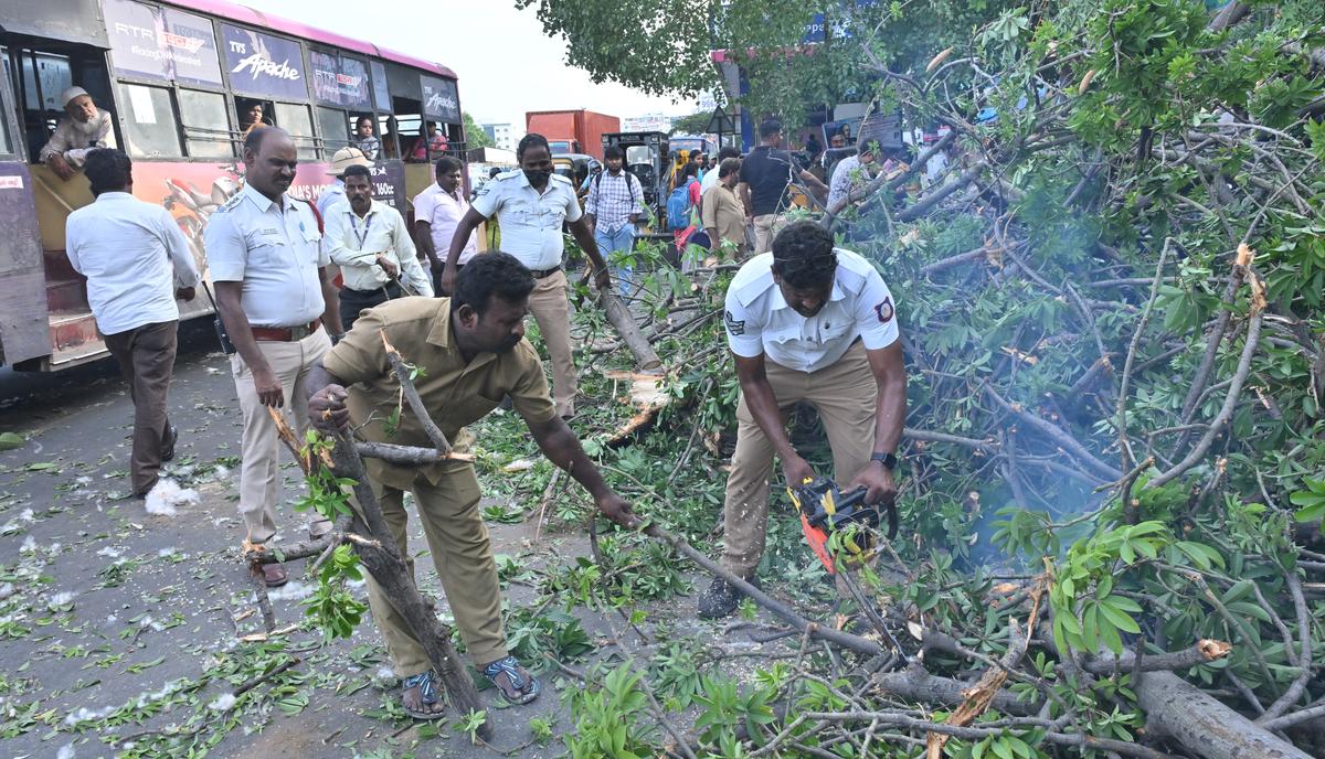 Tree near Saidapet Metro subway crashes, traffic police personnel swing ...