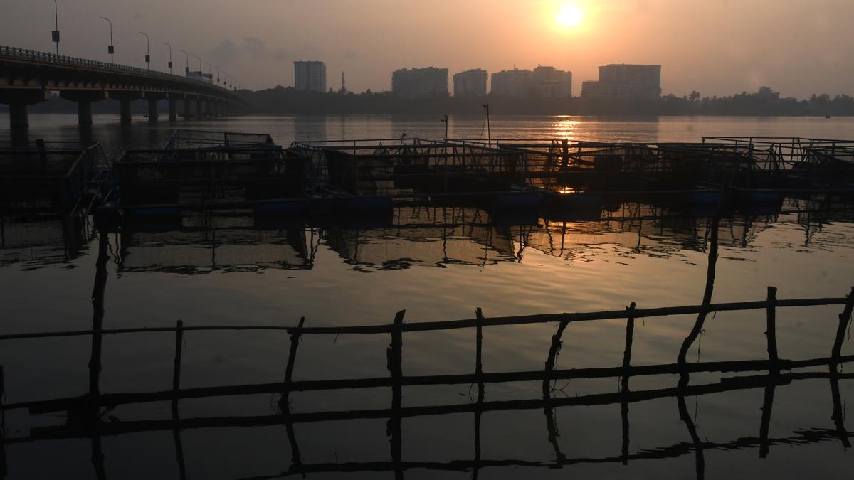 Vigil against poor quality fish from other States can help local ...