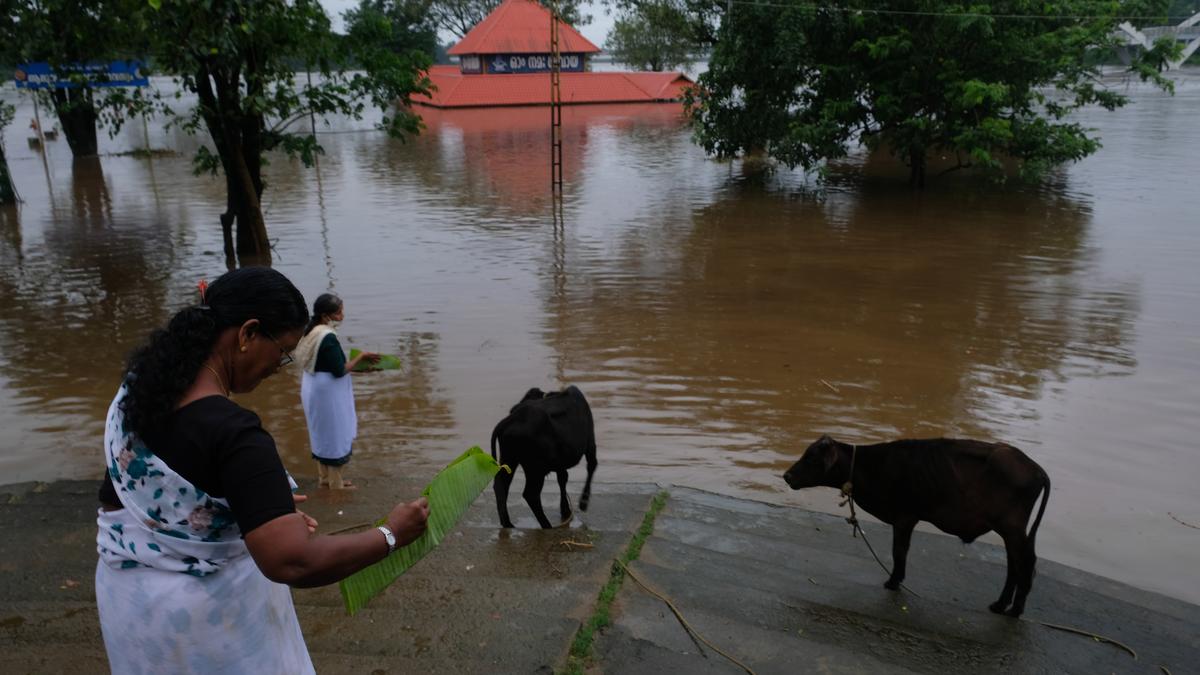 Rain fury continues unabated in Ernakulam, low-lying areas flooded ...