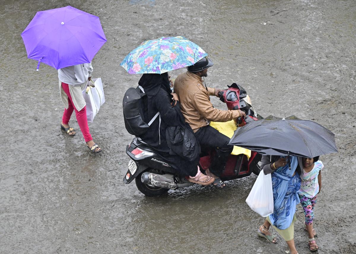 More rain likely in Karnataka; yellow alert in a few districts - The Hindu