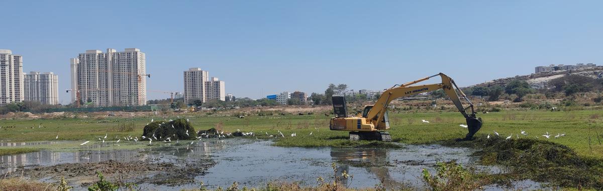 Bengaluru’s lakes hold only about 35% of their capacity amid summer ...
