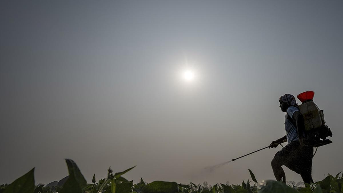 inStem’s fabric offers protection from pesticides - The Hindu