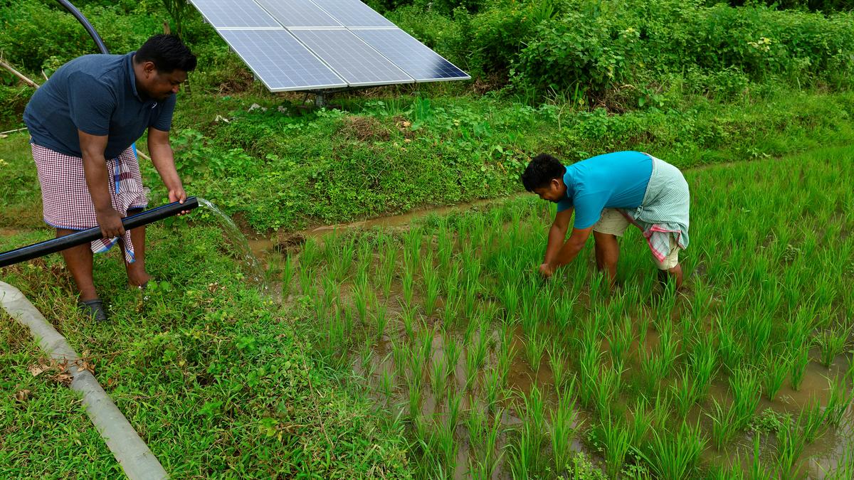 India meets two-thirds of renewable energy target, says report - The Hindu