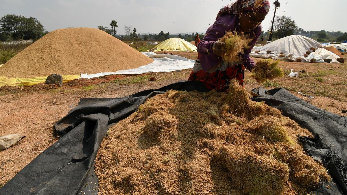 Latest Latest News News - The Hindu