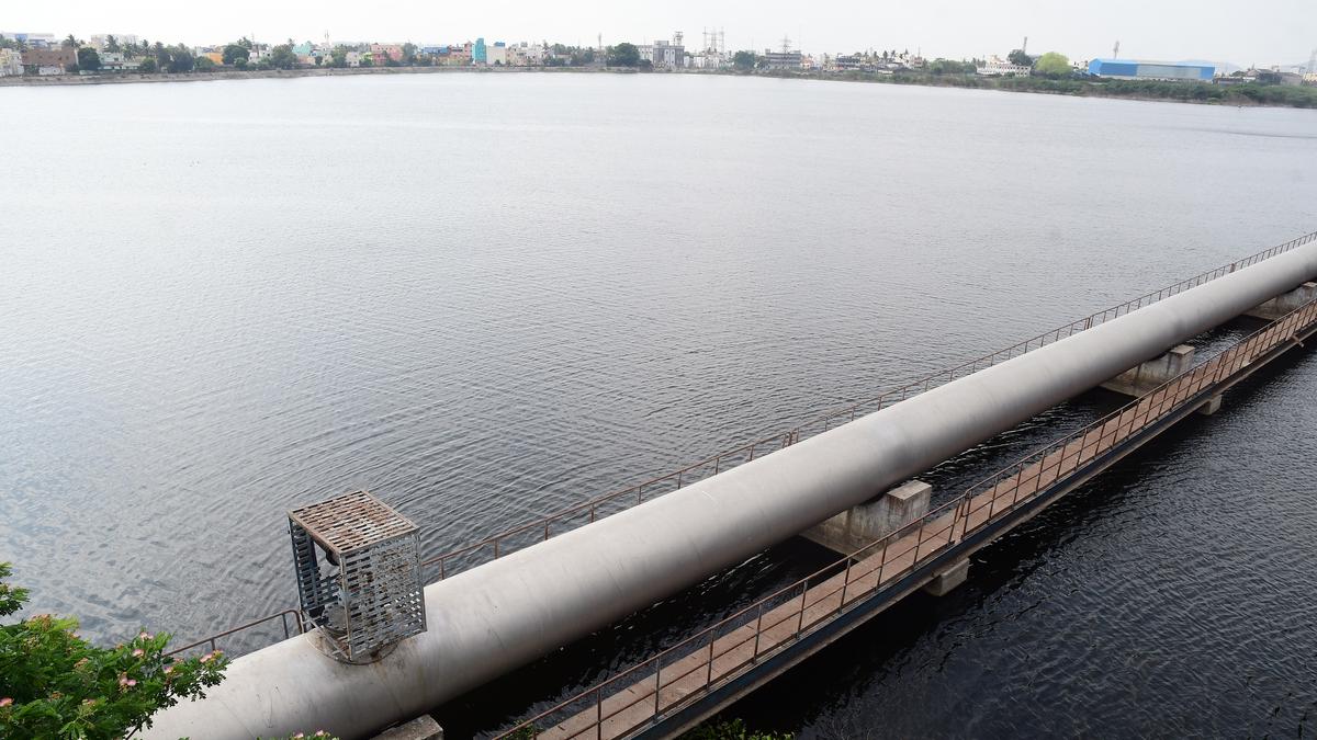 WRD to initiate remedial measures to improve Porur lake - The Hindu