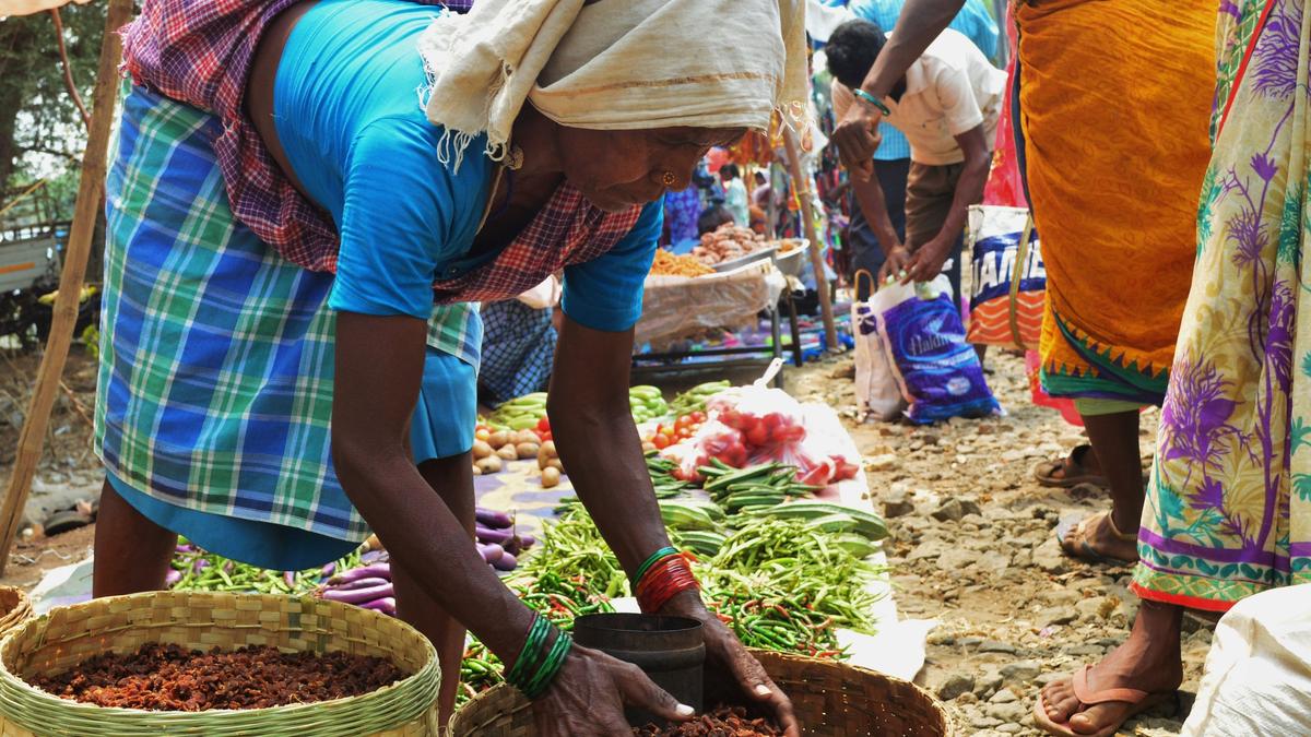 Chhattisgarh’s Sawar, Sawara and Saunra: one and the same tribe now ...