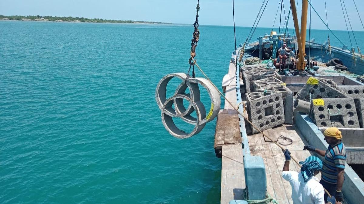 300 artificial reef modules deployed off Rameswaram coast - The Hindu