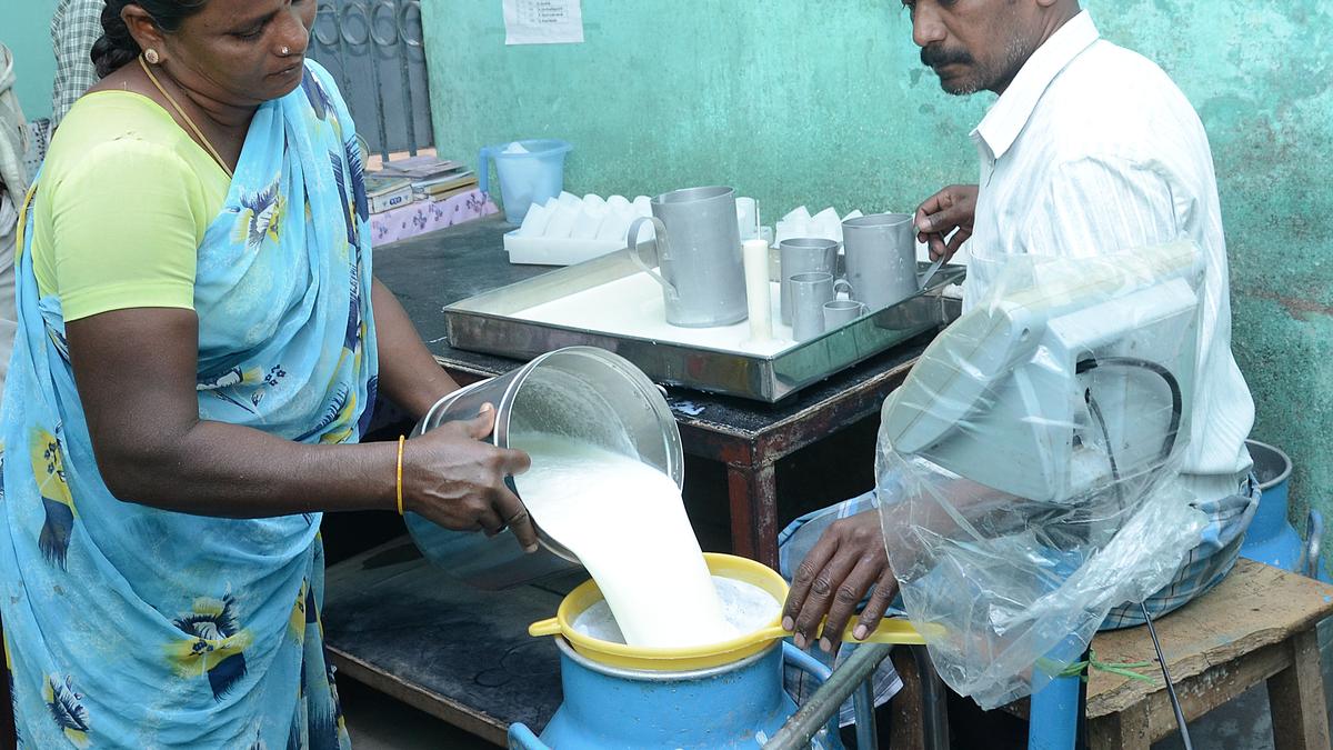 Milk producers demand hike in procurement price - The Hindu