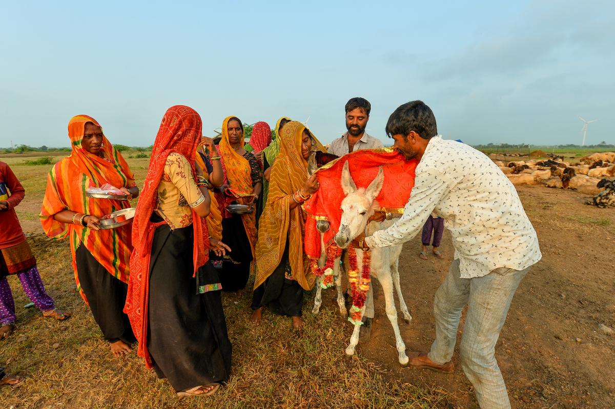 In Frames: Brains and brawn - The Hindu