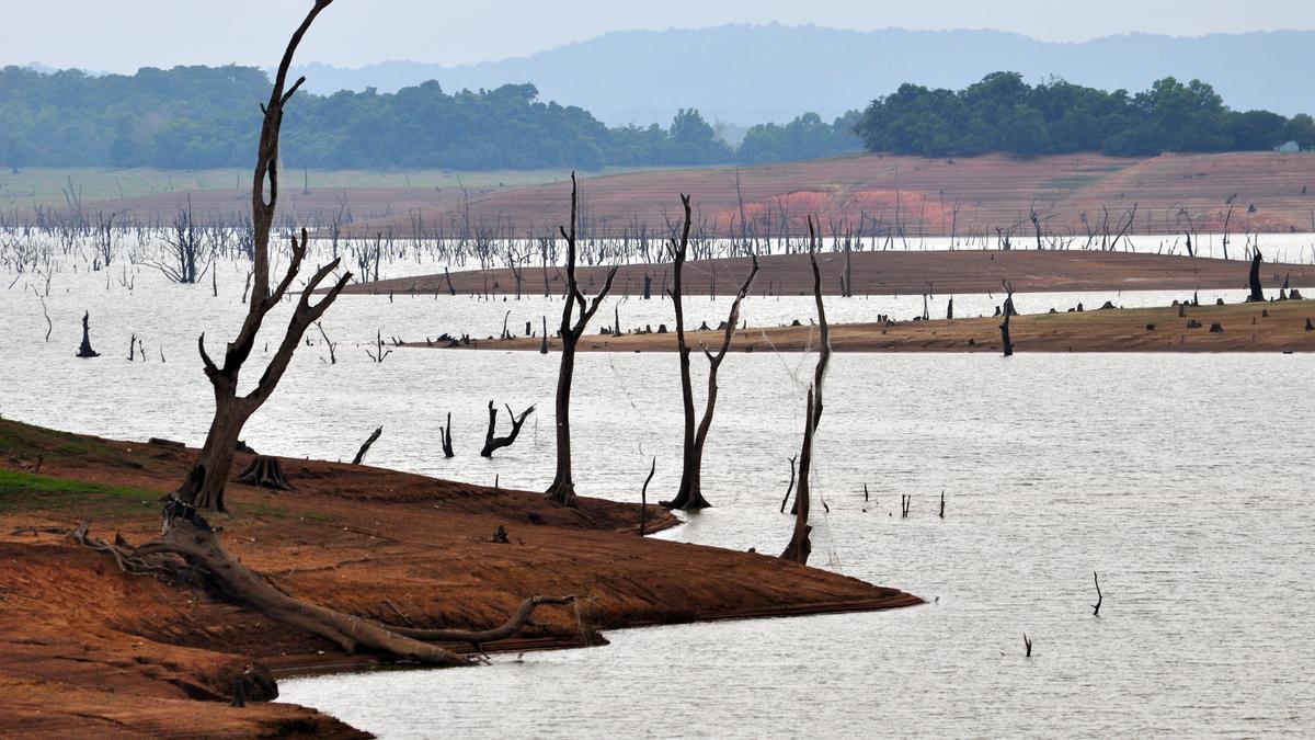 Govt. order to cancel denotification of forest land hits people ...