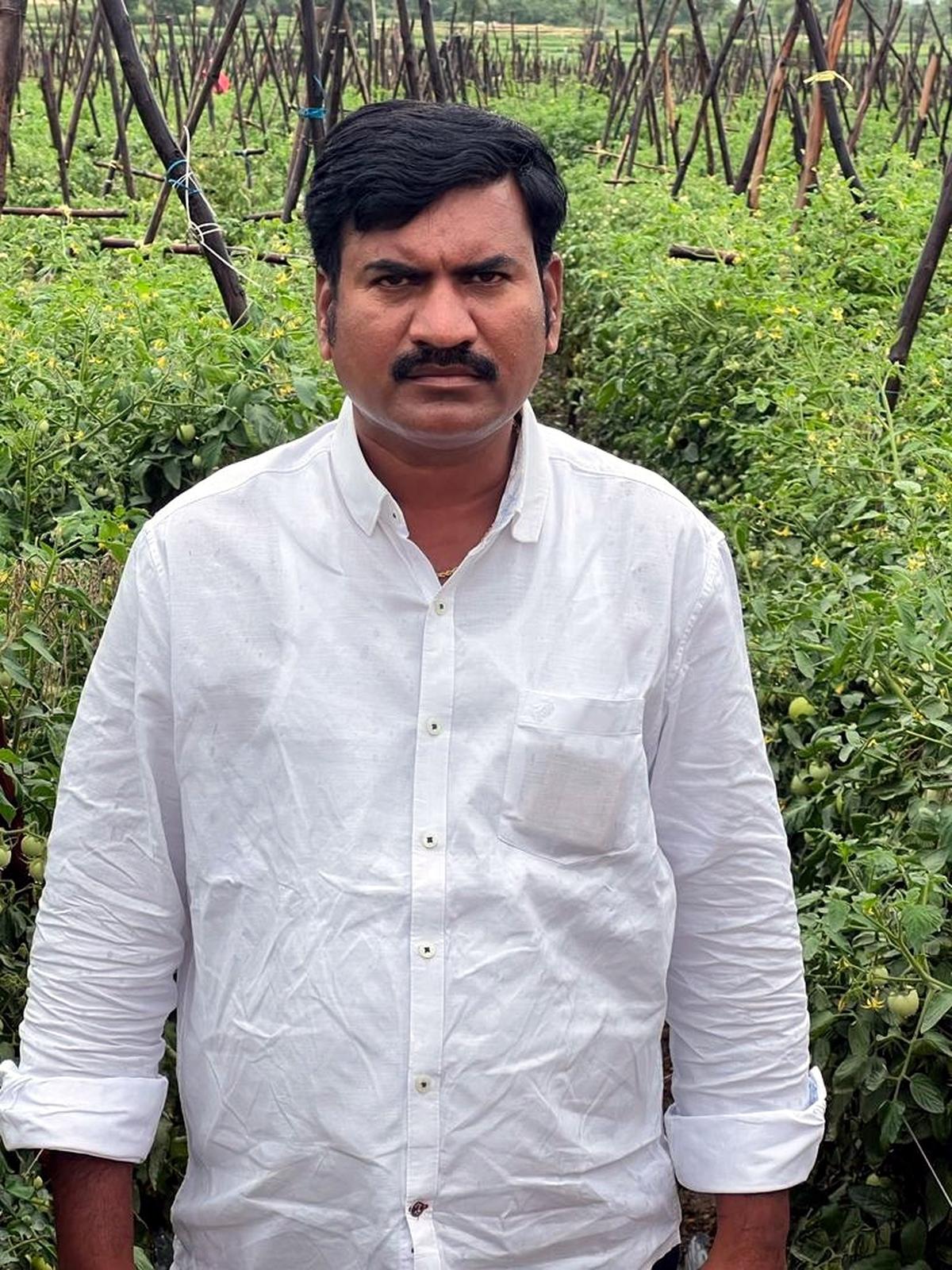 Farmer turns crorepathi by selling tomatoes - The Hindu