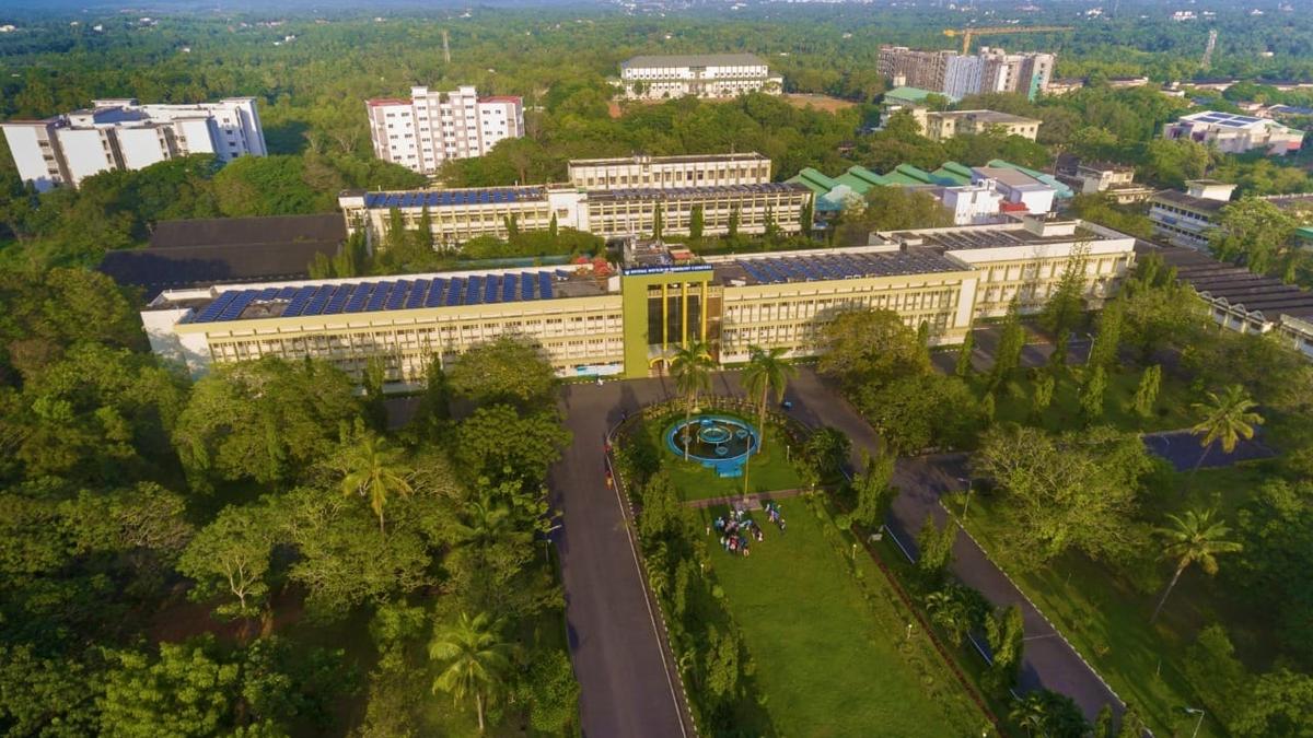 NIT-K to develop technology to make geocell products from jute - The Hindu