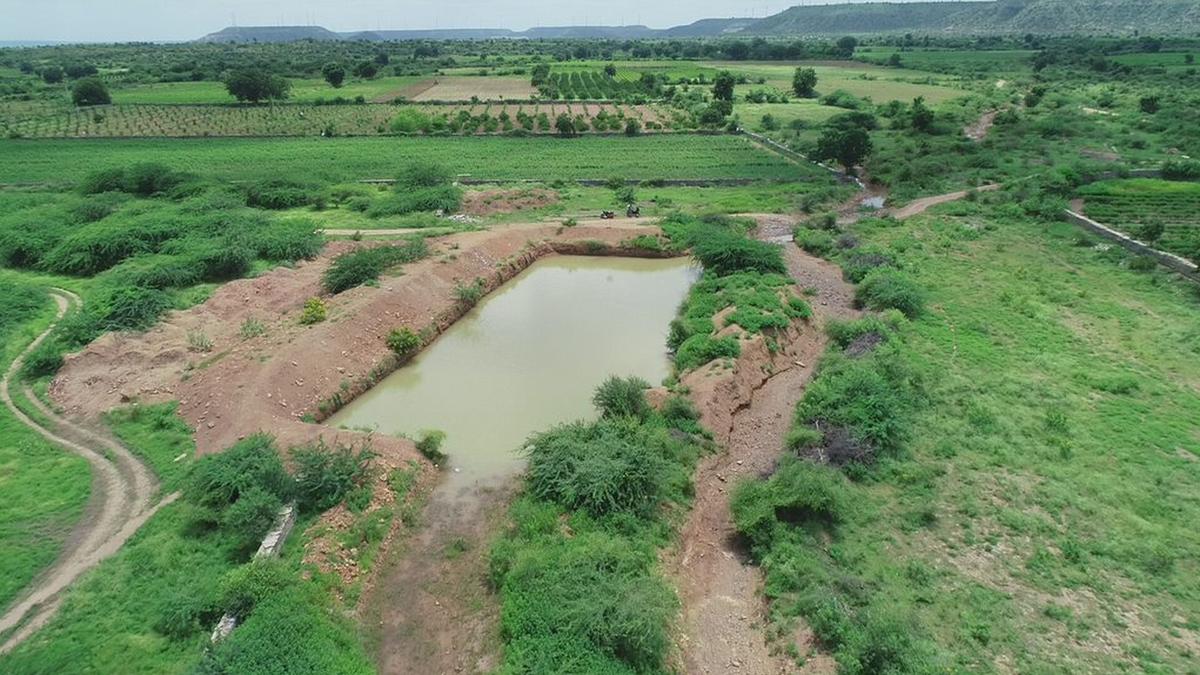 Andhra Pradesh: Watershed project helps farmers of Patnikota ...