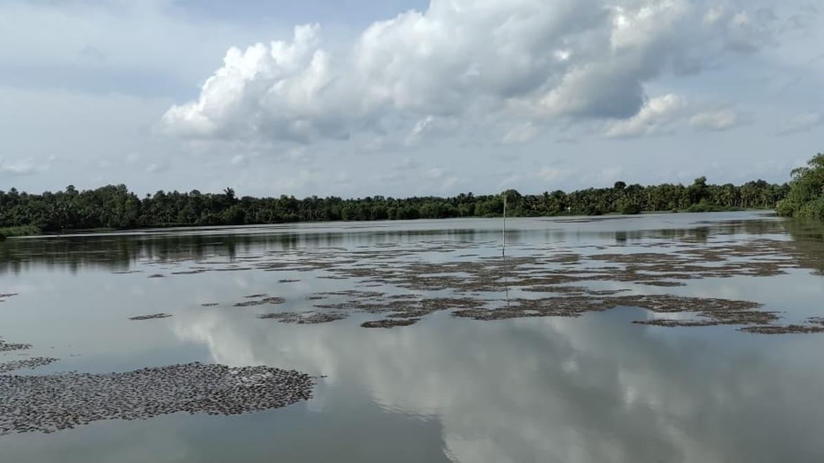 Work on West Kallada floating solar project to begin soon - The Hindu